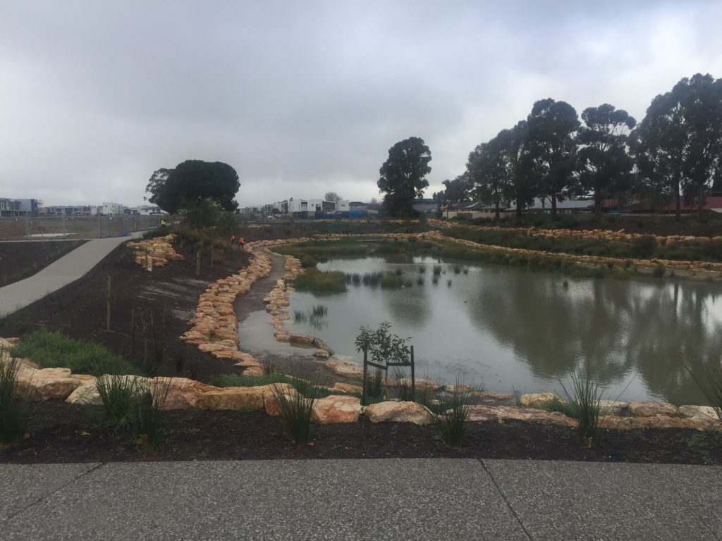 Adelaide – Lightsview | Epic Flight Centenary